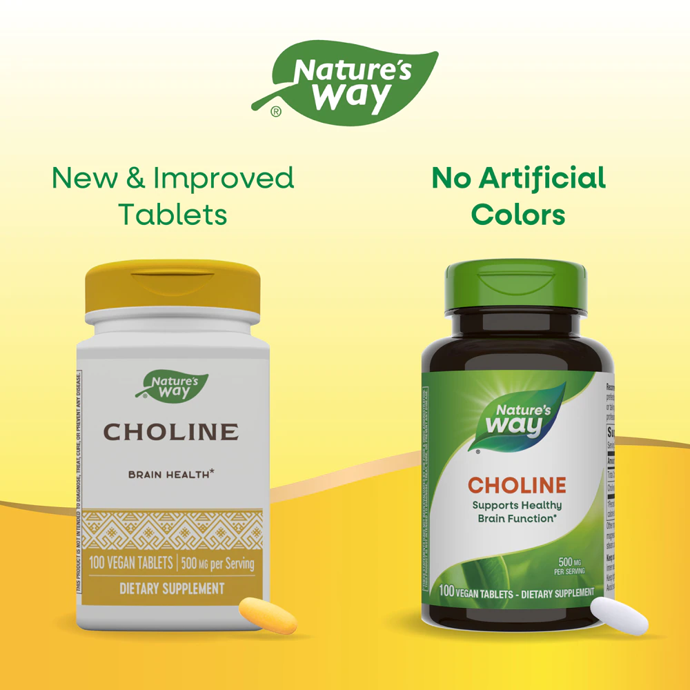 Nature's Way Choline - Supports Healthy Brain Function - 500 Mg Per ...